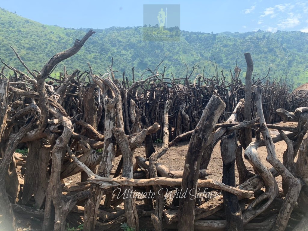 The Ik tribe people In Mountain Morungole, Karamoja Region of Kidepo ...